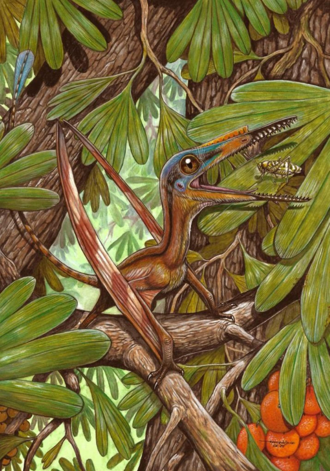 新物種飛行爬行動物在中國發現：達爾文翼龍（Darwinopterus camposi） | 明日科學