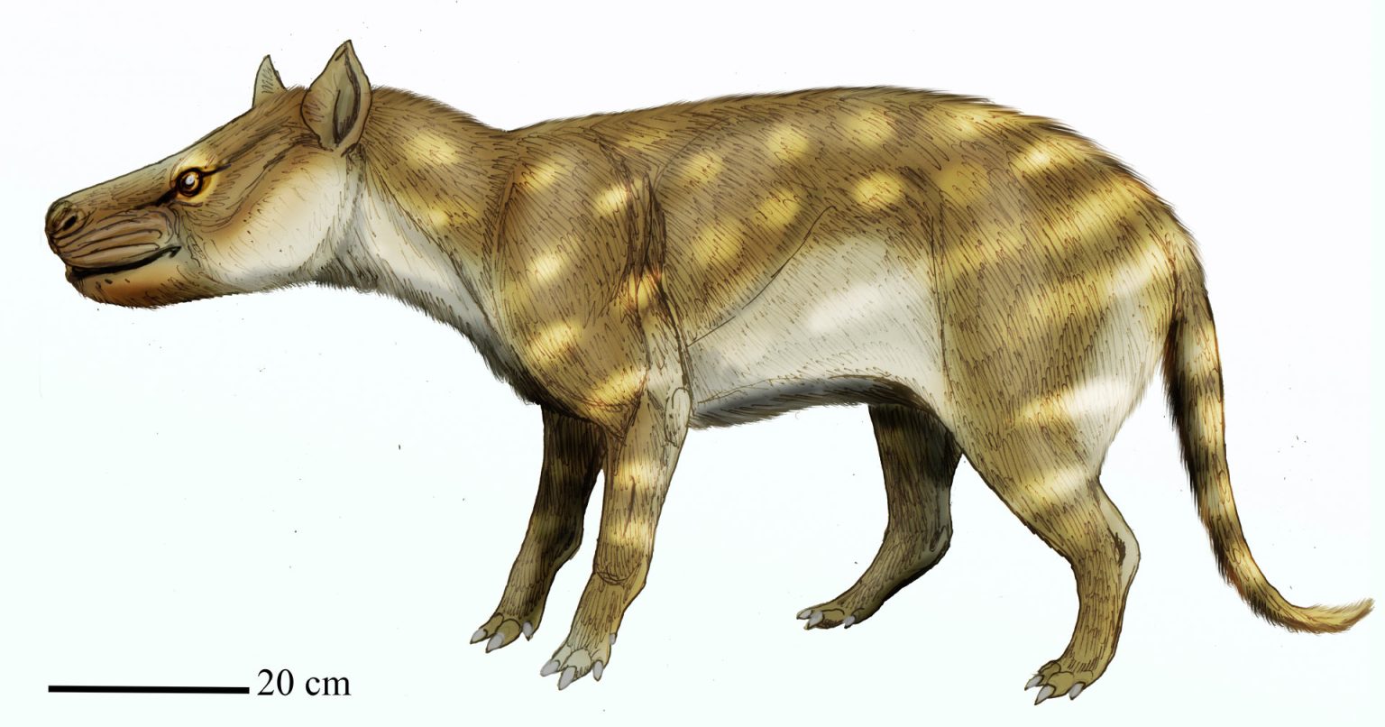 明日科學 | 透過今天的新聞 窺探明日的世界